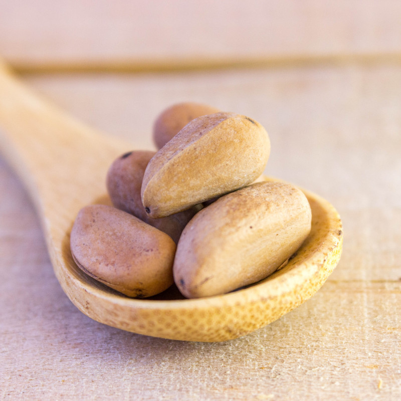 Sementes de Pinheiro-manso (Pinus pinea) árbol ornamental fruto pinhões