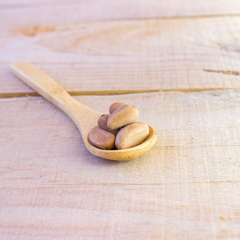 Sementes de Pinheiro-manso (Pinus pinea) árbol ornamental fruto pinhões